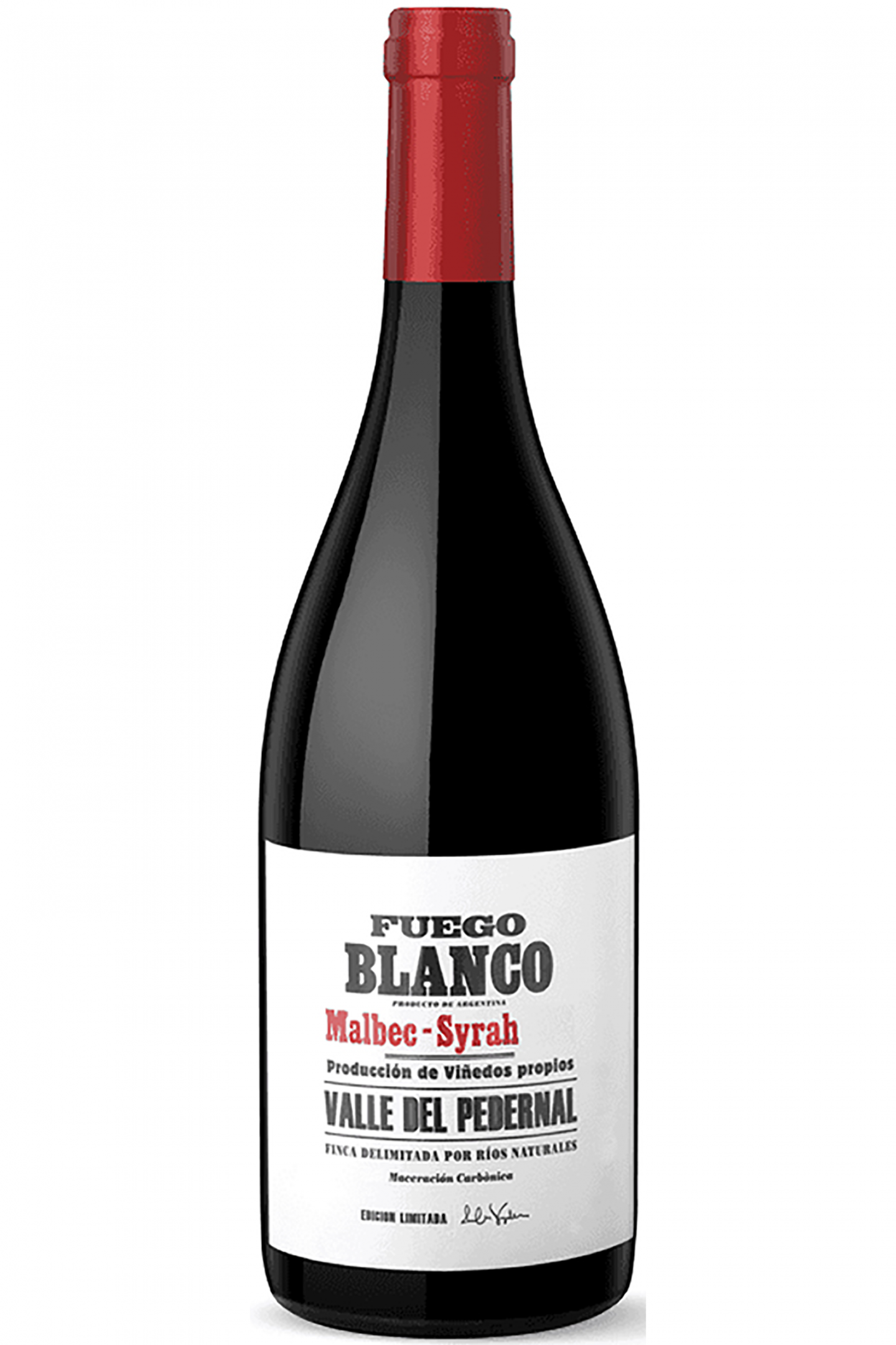 Syrah – Aroma de Vid